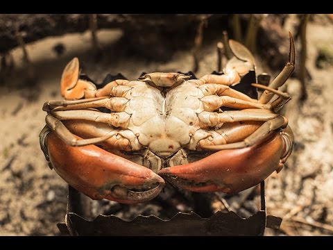 알리망오 / 게요리 / 스쿠버 다이빙 / scuba diving / alimango / 캠핑한끼 in 필리핀 / Camping ...