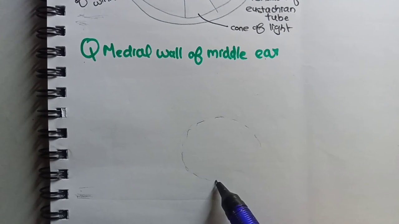 Medial wall of middle ear | ENT previous year question. MBBS, KUHS ...