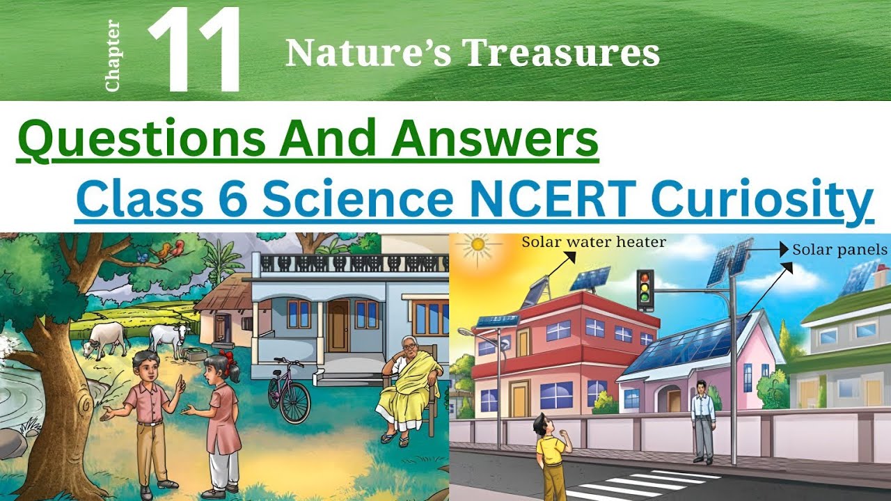 Nature's Treasures | Class 6 Science Curiosity Chapter 11 Questions ...