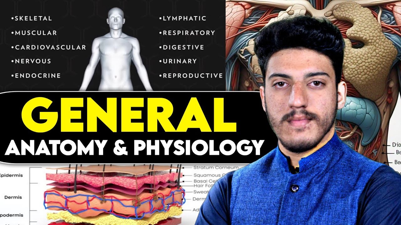 GENERAL anatomy & Physiology of HUMAN body - YouTube
