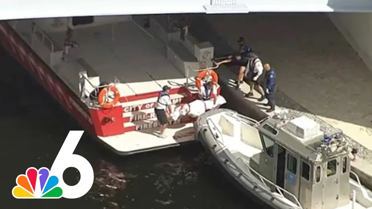 Body found in Miami River is man who fell overboard from boat: Police ...
