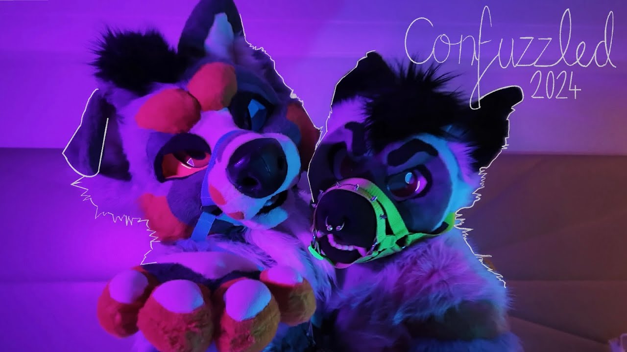 CONFUZZLED 2024 DAY 2-3 (Uk's largest furry convention compilation ...