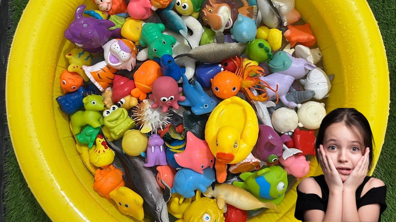 LEARN SEA ANIMAL NAMES AND FACTS WITH FUN TOYS| FUN SEA ANIMAL TOYS IN ...