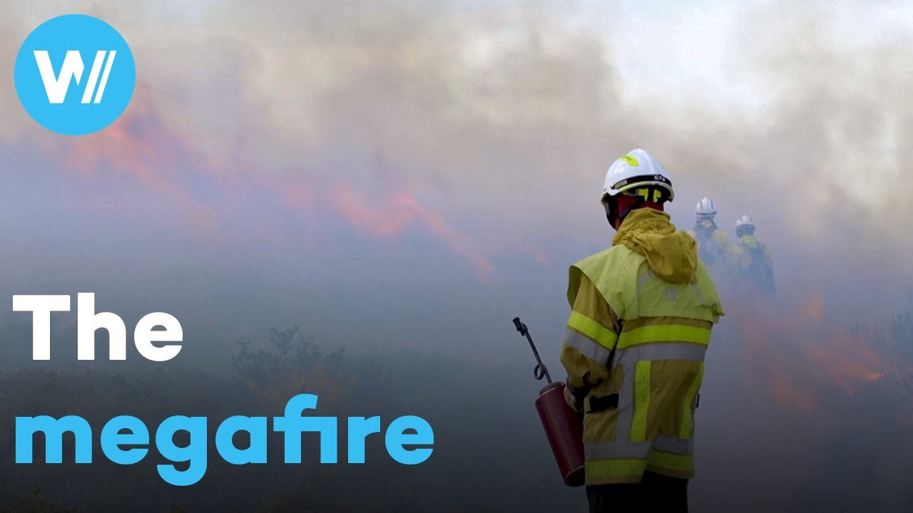 Megafires, natural disasters of extreme intensity and consequences ...