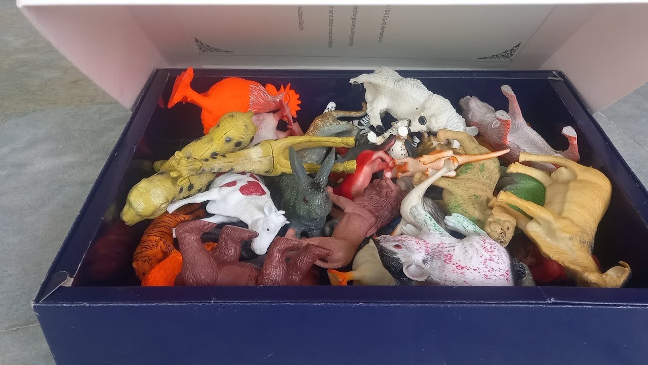 wild zoo animals toys in white box | various animals toys transfer ...