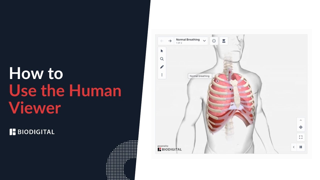 How to use the BioDigital Human Viewer - YouTube