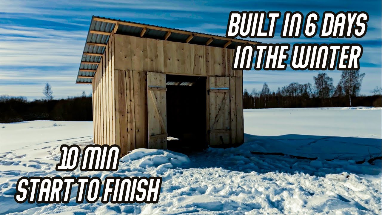 Shed | First Homestead Building | 6 Days In The Winter Colds - YouTube