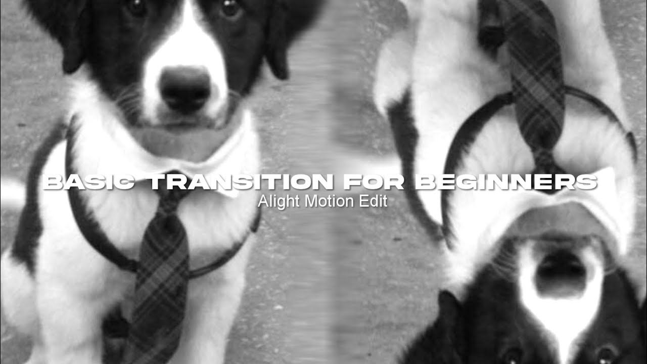 Basic Transition for Beginners || Alight Motion Tutorial || Step by Step Tutorial - YouTube