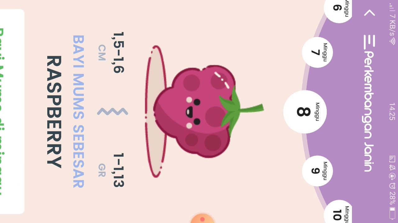 Tutorial cara penggunaan aplikasi teman bumil - YouTube