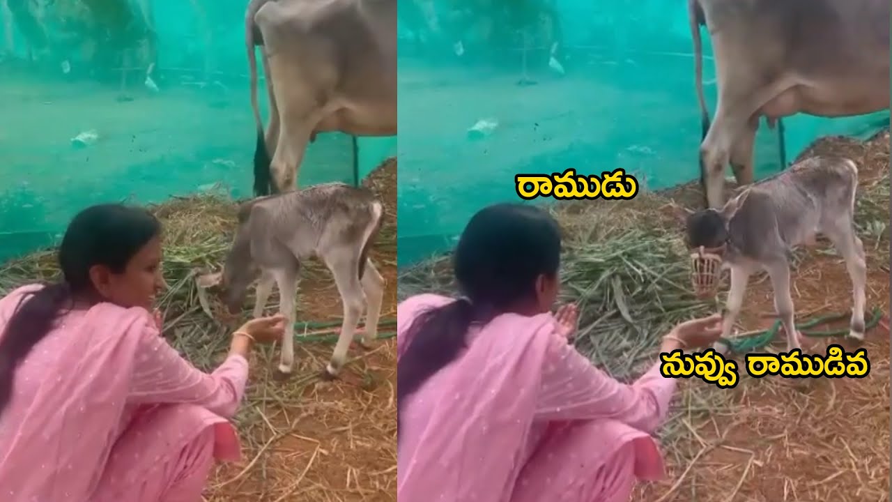 Anchor Suma Super Cute Video | Suma Kanakala Latest Video | TFPC - YouTube