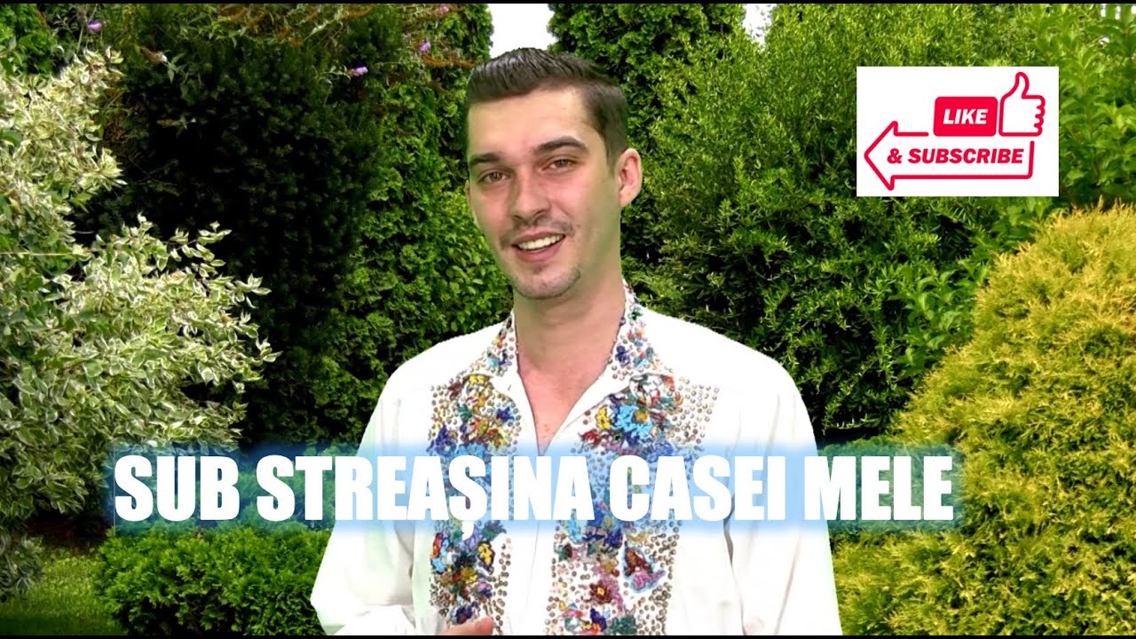 ALEXANDRU PATRASCU - Sub streasina casei mele - YouTube