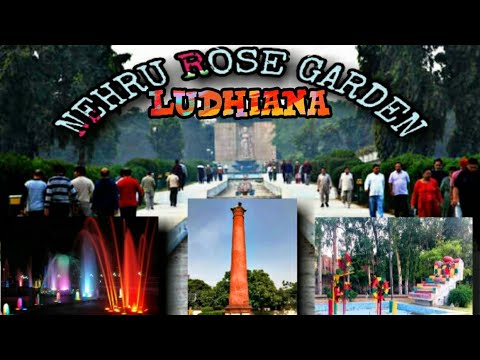 NEHRU ROSE GARDEN || नेहरू रोज़ गार्डन || ROSE GARDEN || LUDHIANA ...