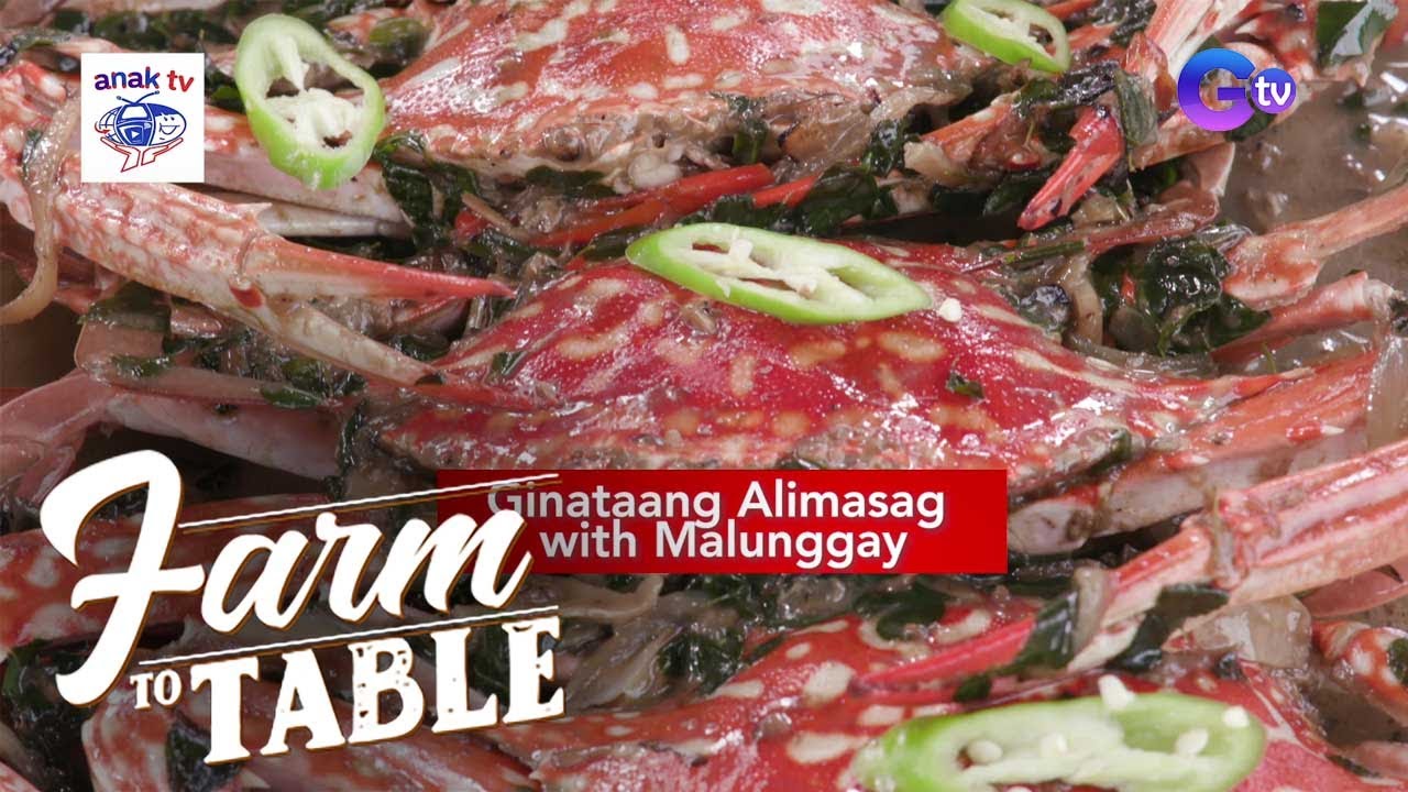 Coconut as a STAPLE in Filipino cooking | Farm To Table - YouTube