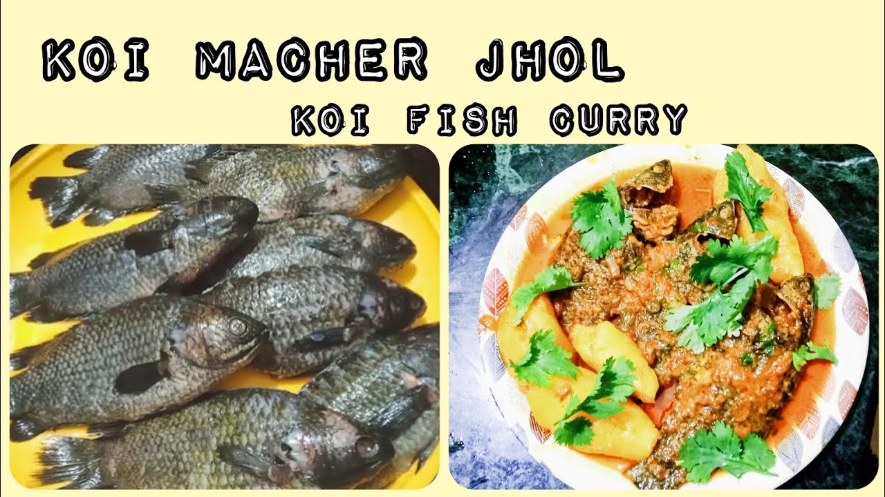 How to make Koi fish curry?? Watch out full recipe - YouTube