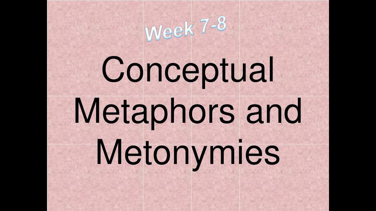 Conceptual Metaphors & Conceptual Metonymy expline in kurdish by Zwin ...