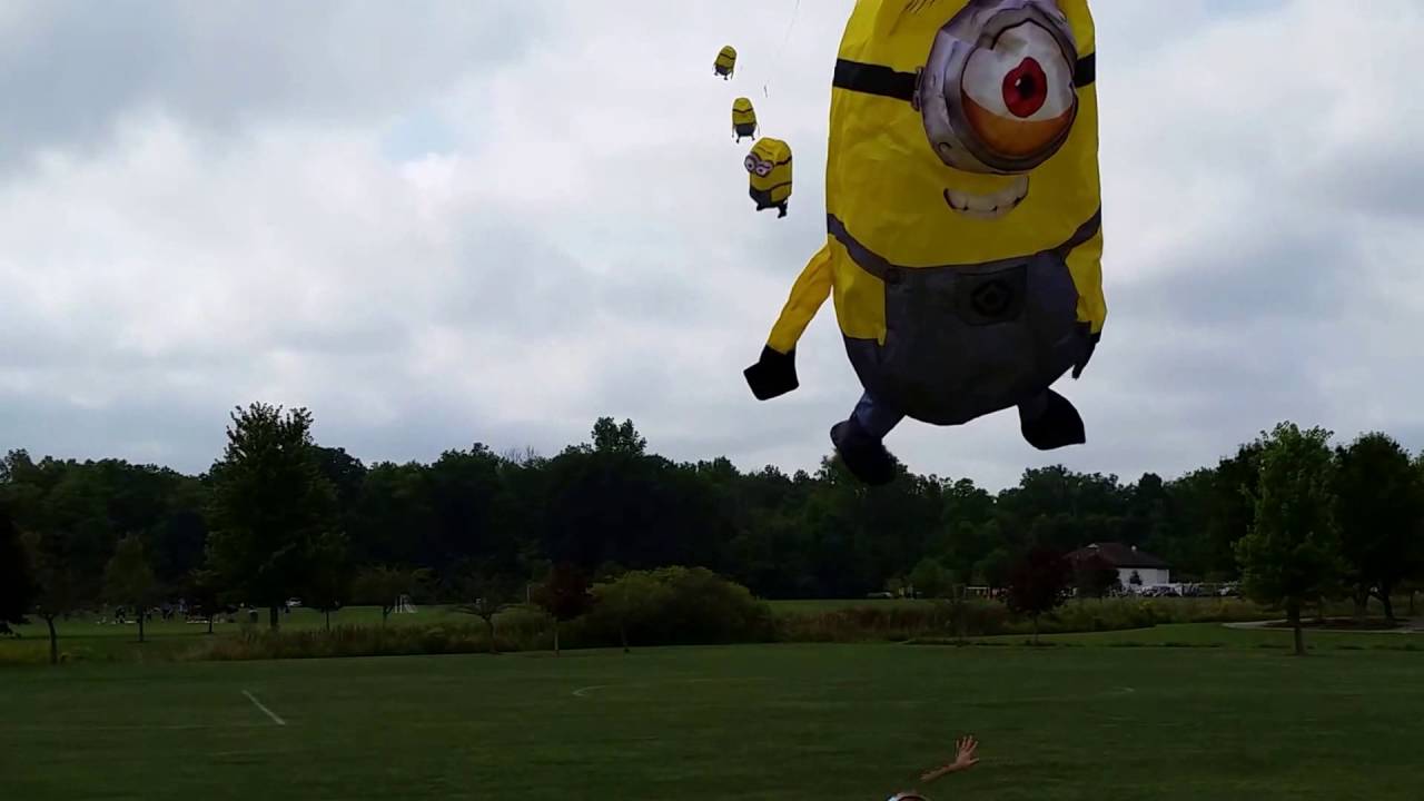 Flight of the Minion - YouTube