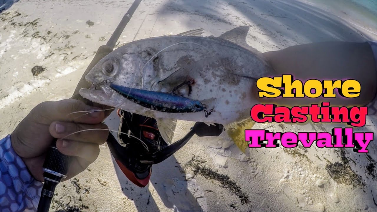 TALAKITOK sa Shore Casting | Small Trevally | Inshore casting | Bohol ...
