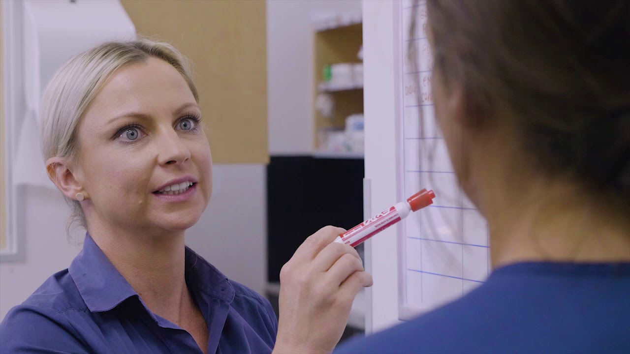 Love Your Pet Love Your Vet - Vets of Australia #11 - YouTube