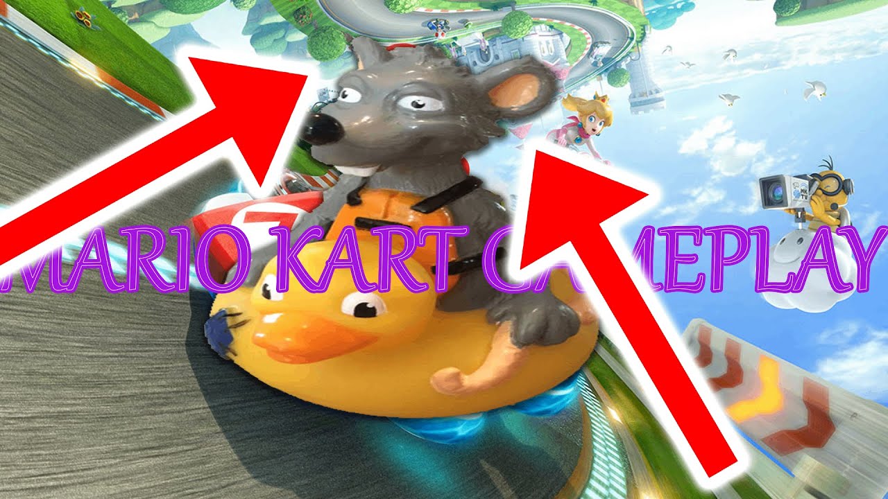 TALKING RAT ATTEMPTS TO PLAYS MARIO KART WII - YouTube