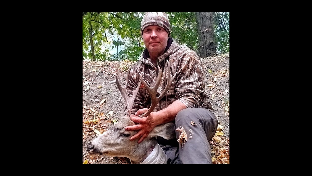 September Mule Deer Hunt Region 8 British Columbia 2024 - YouTube