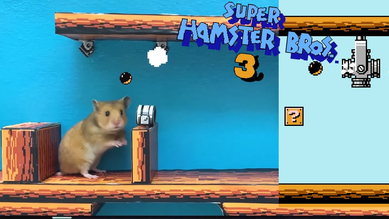 HAMSTER SUPER MARIO BROS 3 Real Life 100% Level Obstacle Course: World ...