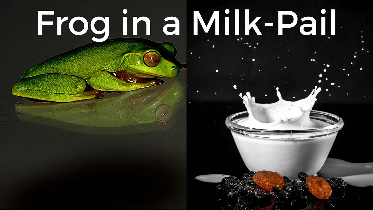 Frog in a Milk Pail - YouTube