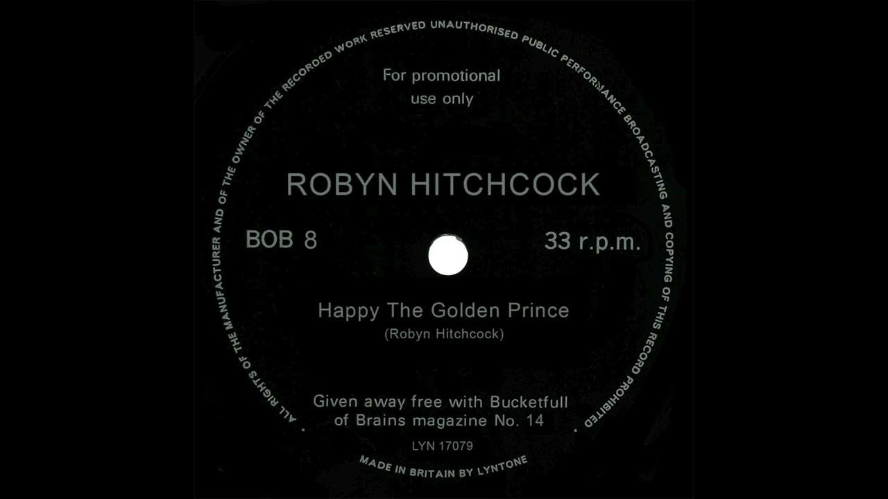 "Happy the Golden Prince" Robyn Hitchcock (1986, vinyl needle drop from ...