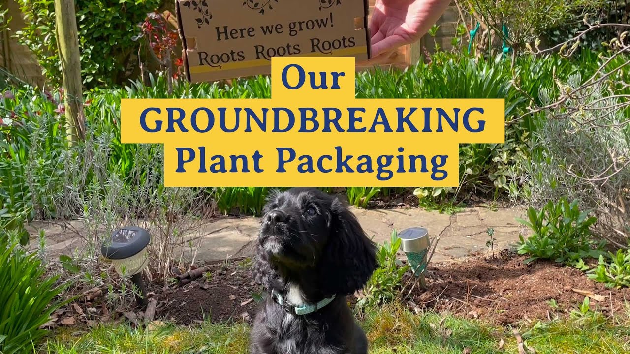 GROUNDBREAKING New Plant Packaging for Plugs - YouTube