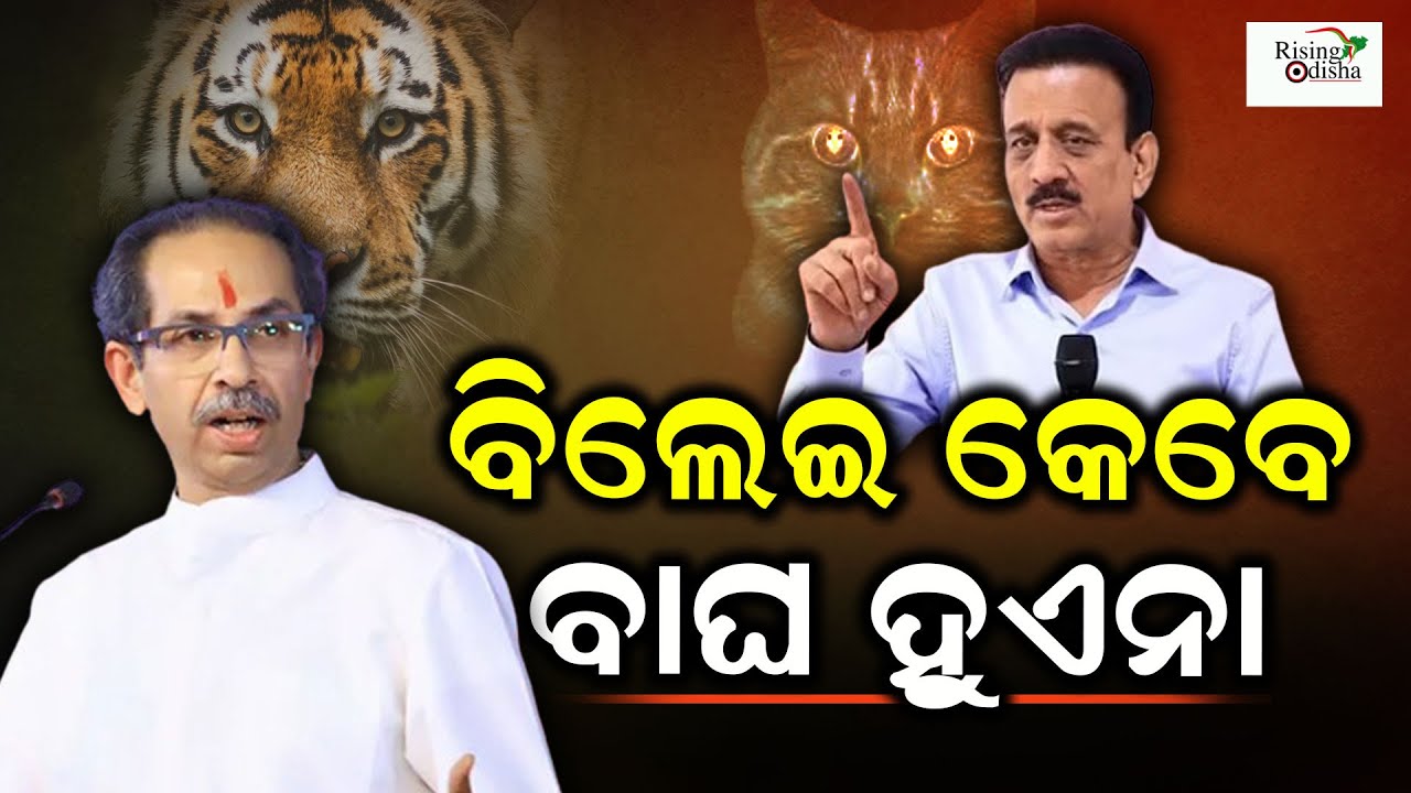 'Cat Can't Be Tiger'; BJP Leader Girish Mahajan Dares Uddhav Thackeray ...