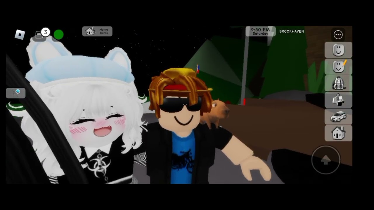 Rizzing People on Brookhaven +Funny Moments! - YouTube