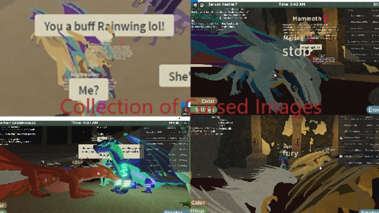 My Roblox WoF Collection of Cursed Images - YouTube