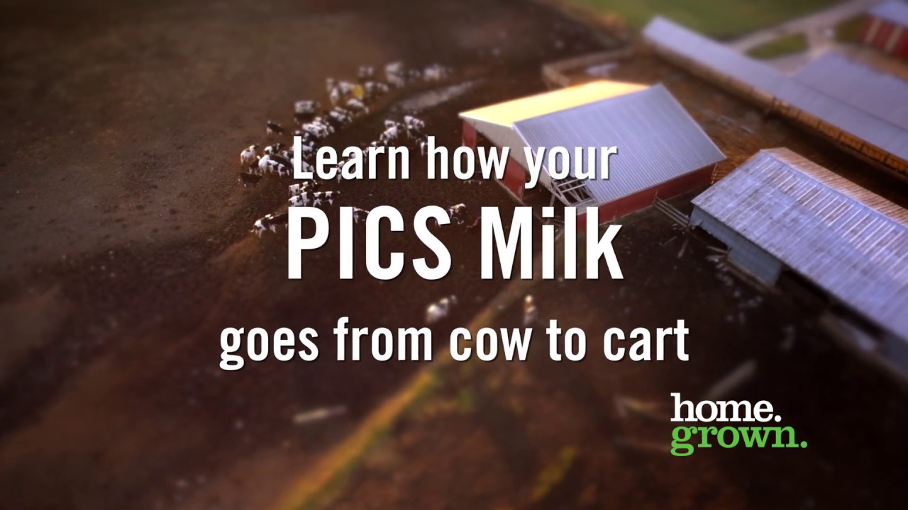 Price Chopper’s PICS Milk: Product of the Northeast - YouTube