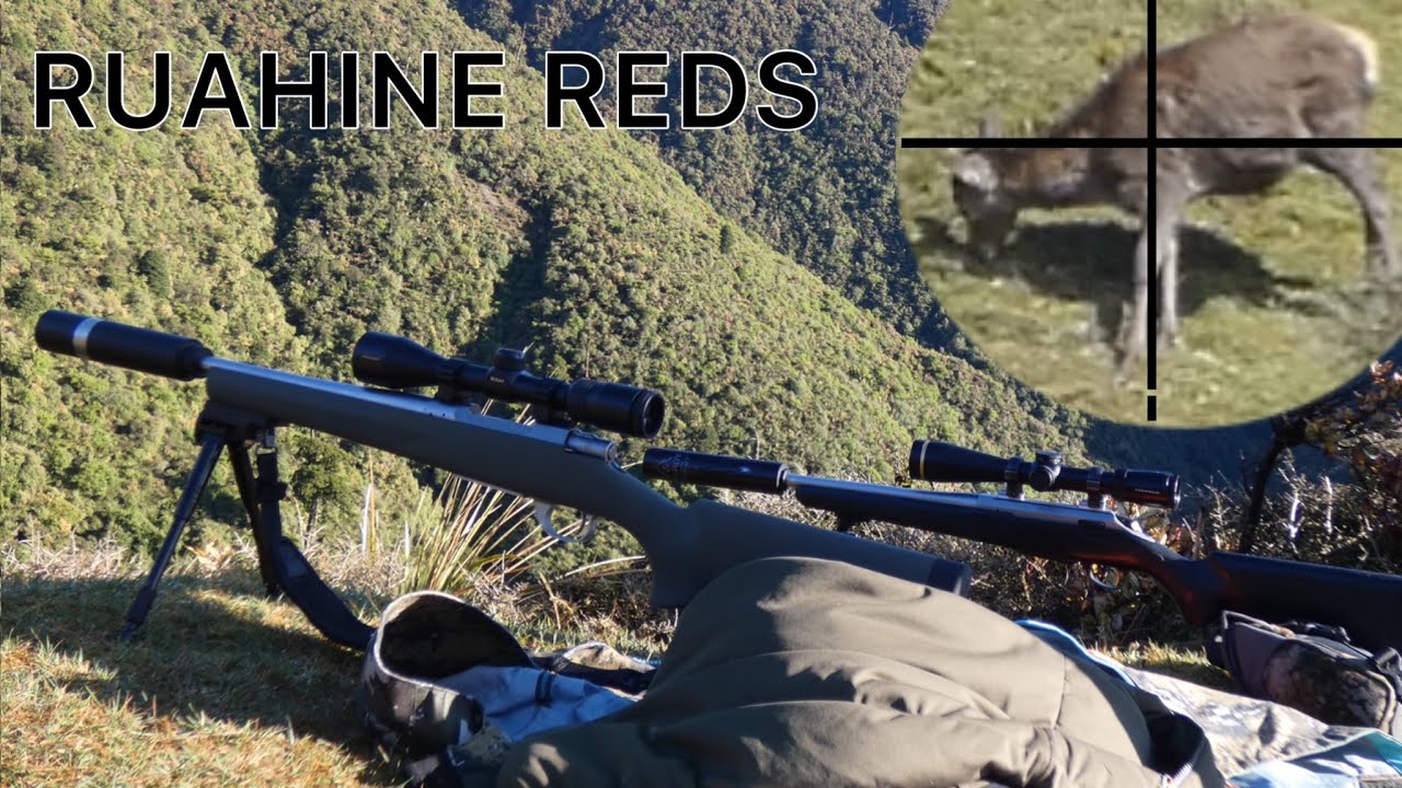 Red Deer Ruahine hunting - YouTube