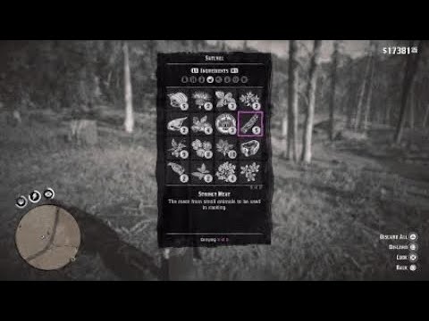 Red Dead Redemption 2 masters hunter rank 7 Predator/herbivore bait ...