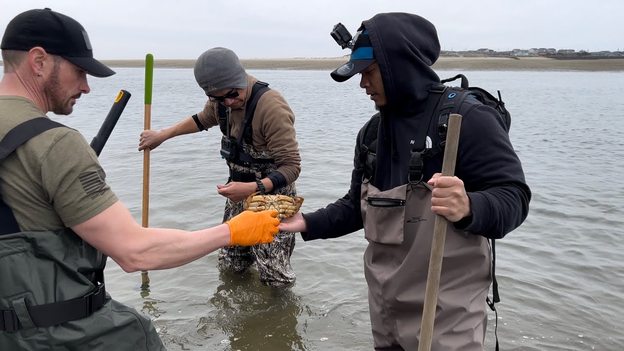 Coastal Foraging - How to Find Clams and Crabs - YouTube