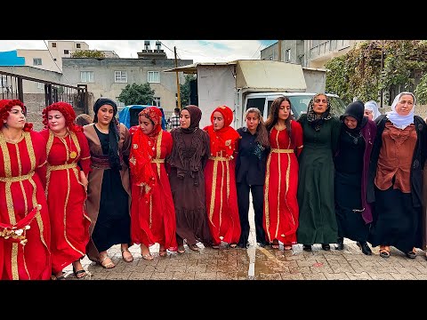 Şiyar Berwari - Osmaniye Düğünü  [ 2023 ©  ] شيار برواري