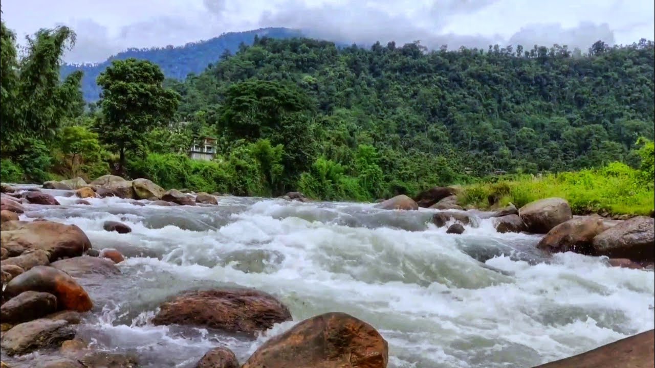 Dooars Tour ~ Jhalong Green Island Resort Review~ Kalimpong Tour in ...