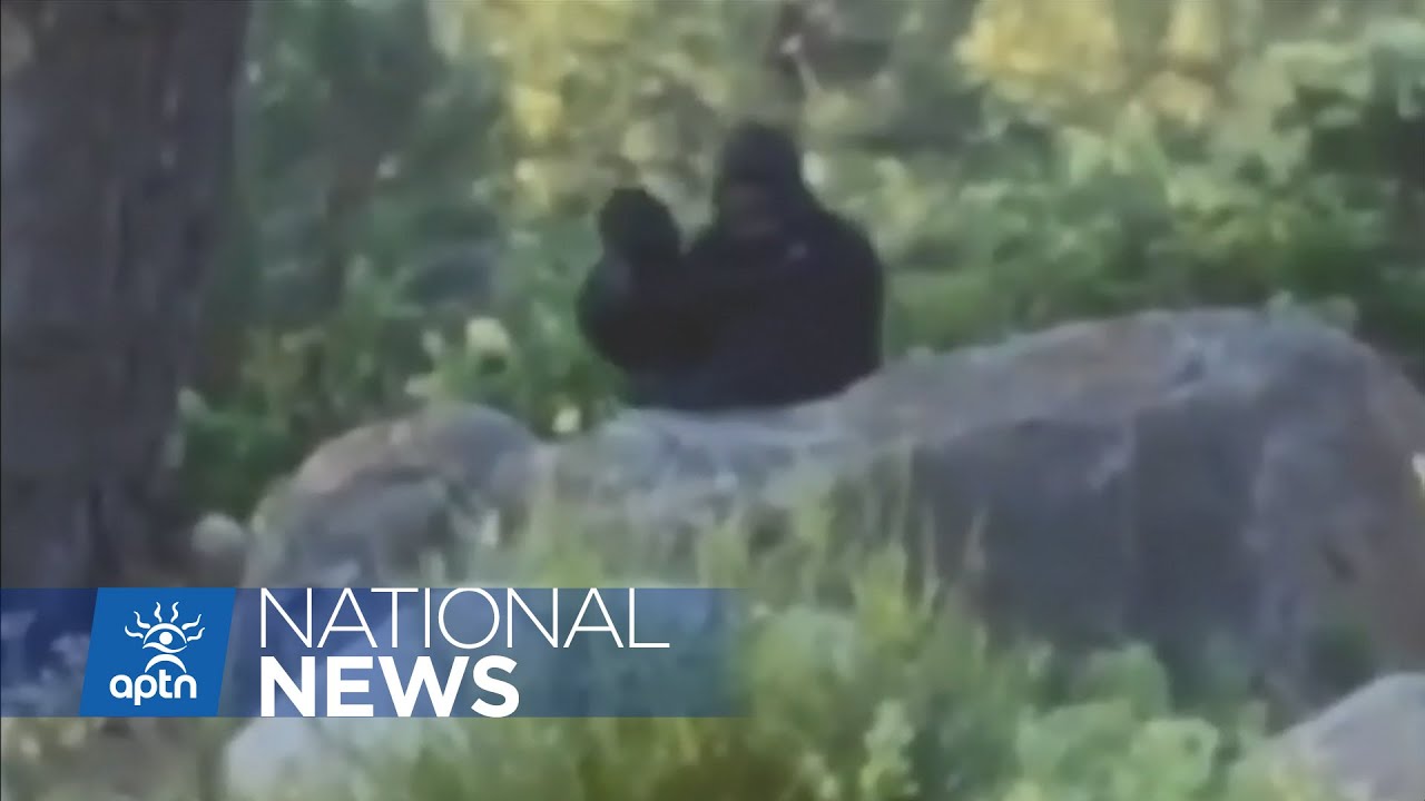 Bigfoot researcher discusses founding the Trent University Sasquatch ...