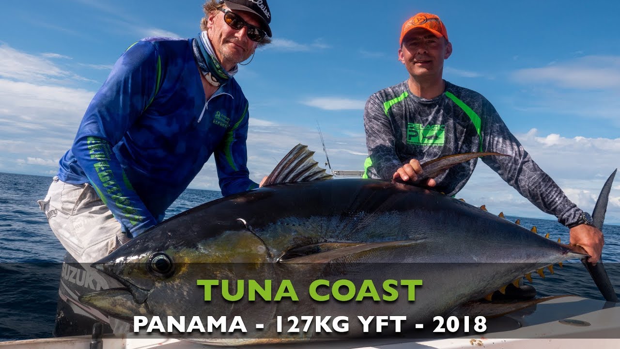 CATCHING A MONSTER 127 KILO YELLOW FIN TUNA ON THE HANNIBAL BANKS IN ...