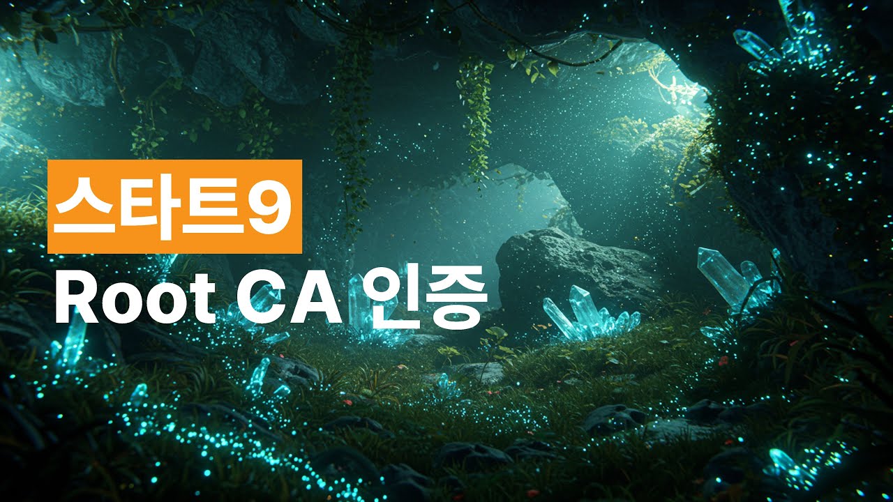 스타트9 Root CA 인증 방법 (feat. 윈도우11) - YouTube