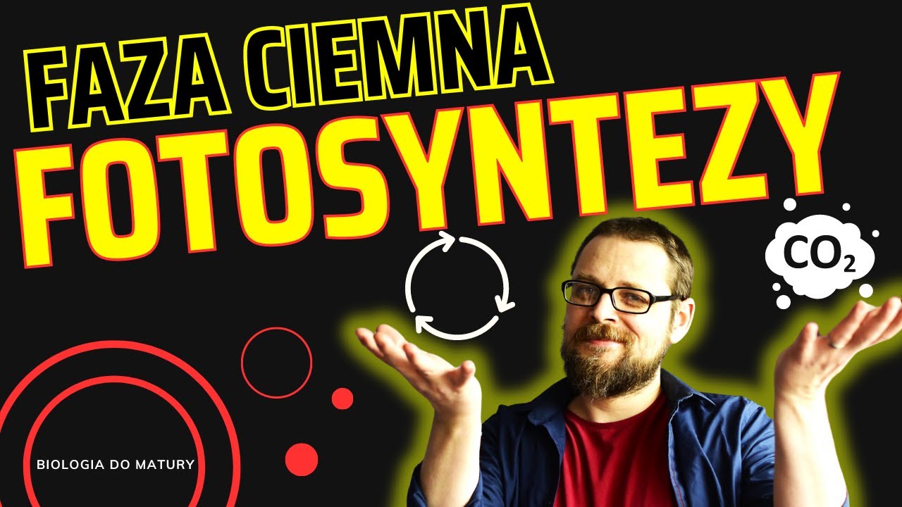 Fotosynteza | Cykl Calvina | Faza ciemna | Niezależna od światła ...