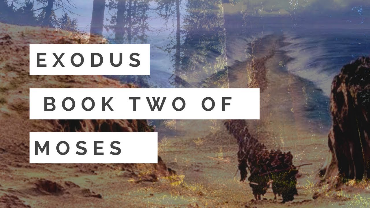 Exodus The Second Book Of Mose Chapter 25 - YouTube