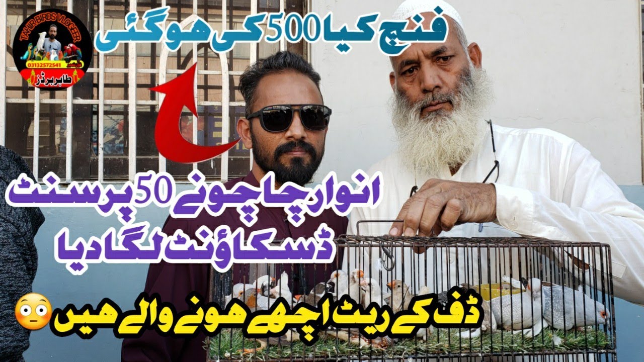 Lalukhet Birds Market Anwar uncle l Birds Market l Tahir Birds Vlogger ...