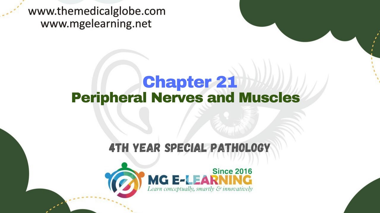 Peripheral Nerves and Muscles |Chapter 21| |Special Pathology ...