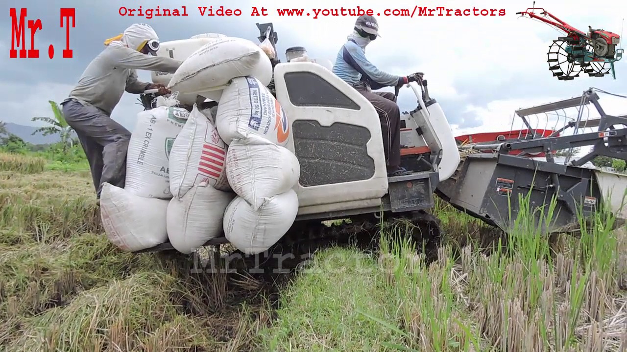 Combine Rice Harvester Kubota DC-35 Working - YouTube