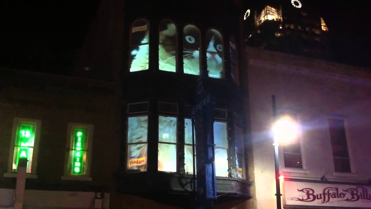 Grumpy Cat in a Building - YouTube