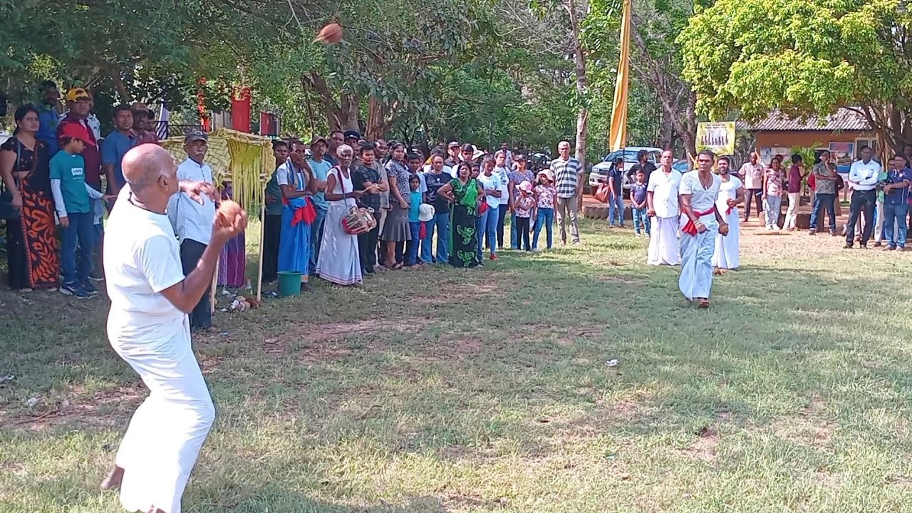 කලාතුරකින් දකින්න ලැබෙන පොර පොල් ක්‍රිඩාව. #sportsdagaya #porapol - YouTube