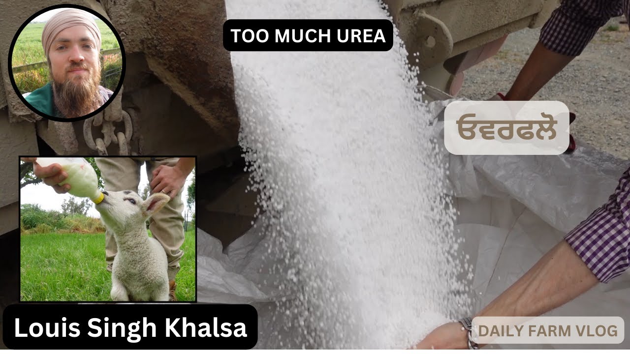 ਖਾਦ ਓਵਰਫਲੋ | FERTILISER OVERFLOW | LOUIS SINGH KHALSA | DAILY FARM ...