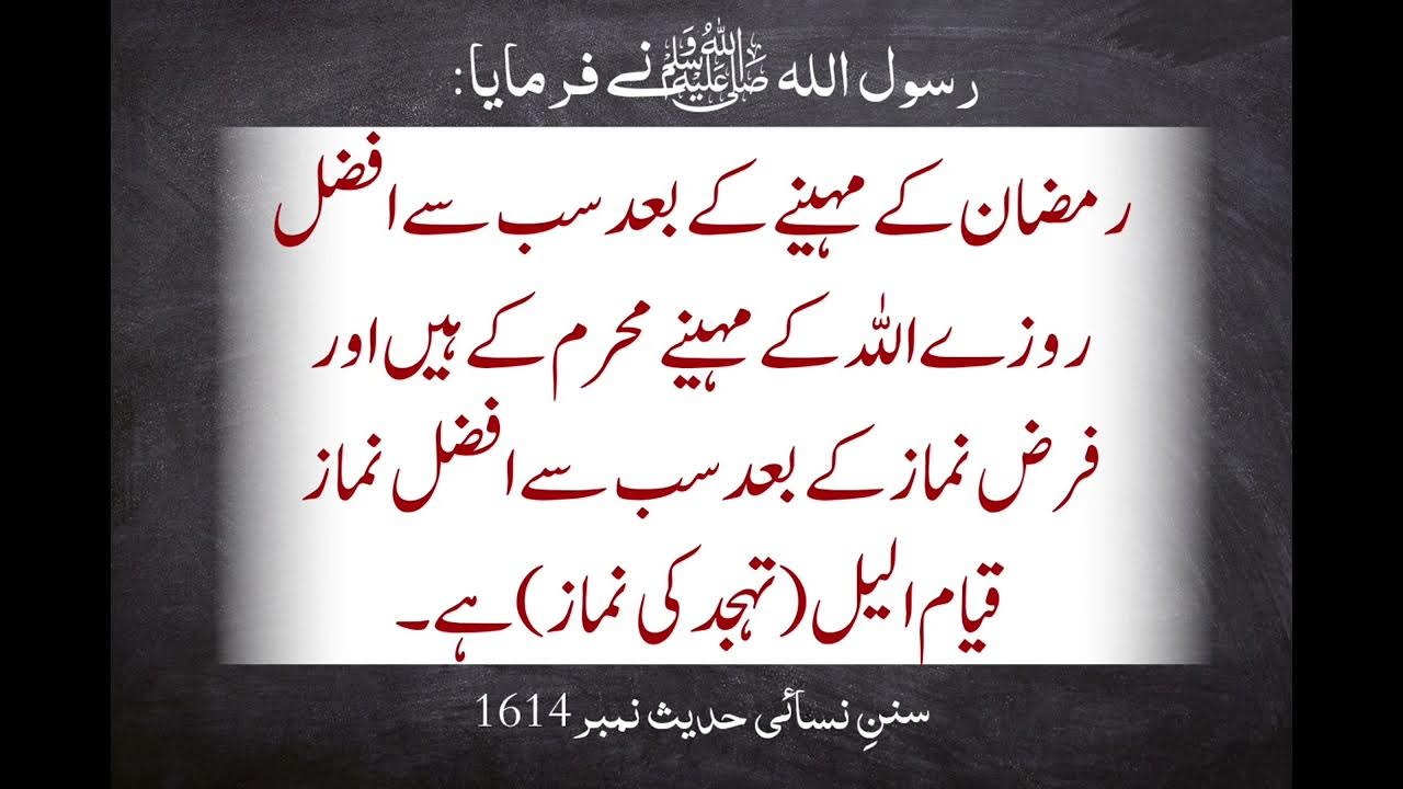 islamic teachings | nouman ali khan | islamic releases - YouTube