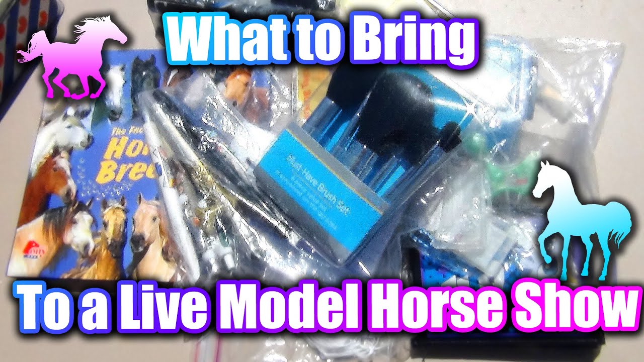 Model Horse Showing Tips: What to Bring to a Live Model Horse Show ...